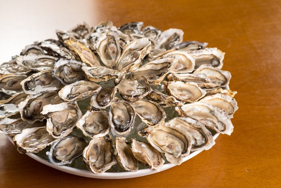 Ostras no rodízio japonês? No Djapa tem! - Rodízio Japonês