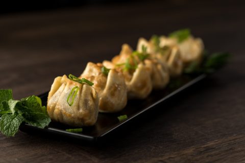 Saiba mais sobre o guioza, o famoso pastel chinês - Rodízio Japonês