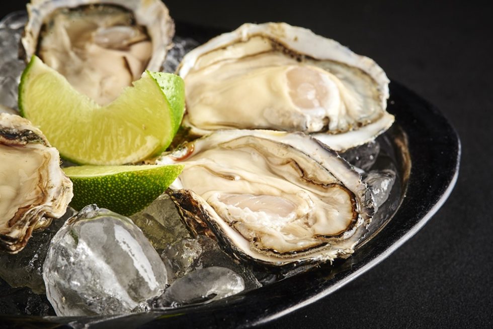 4 pratos com frutos do mar para saborear no restaurante Djapa